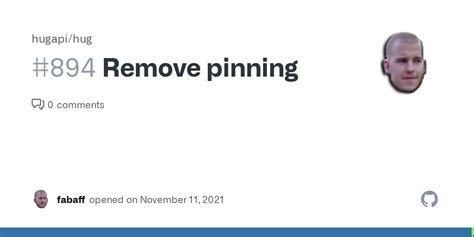 Remove Pinning Issue Hugapi Hug GitHub