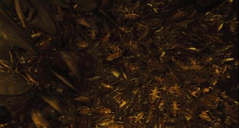 Plot Explanation What Is In The Protein Bars In The Snowpiercer