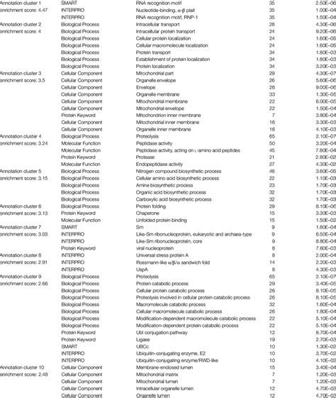 Ten Highest Functional Annotation Clusters For All Proteins Identified