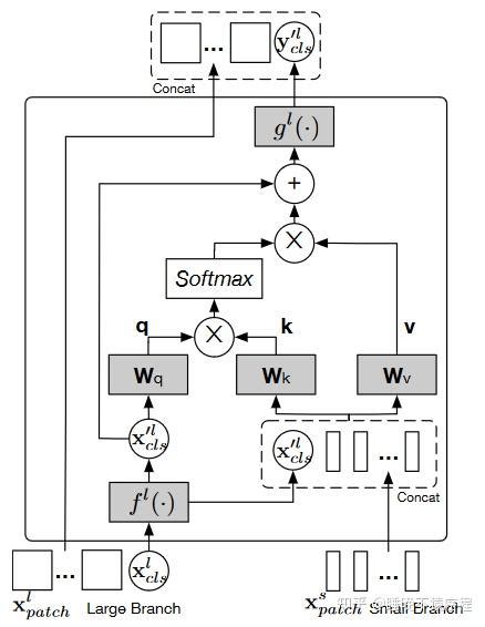 【论文阅读】crossvit Cross Attention Multi Scale Vision Transformer For Image Classification 知乎