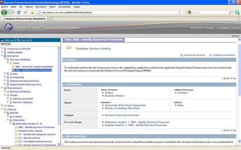 Global View Of BPSOM Web Site Created Using EPF Composer Download
