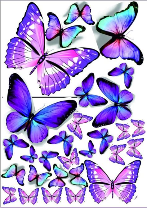 صور الفراشات