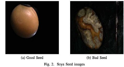 Figure 1 From Seed Segregation Using Deep Learning Semantic Scholar