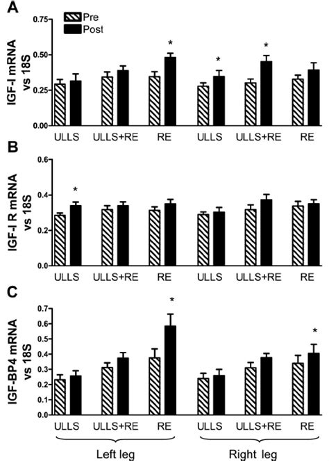 Igf I A Igf Receptor Igf I R B And Igf Binding Protein 4 Download Scientific Diagram