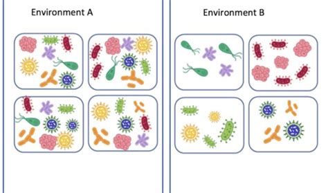 Microbiology Exam 4 Flashcards Quizlet