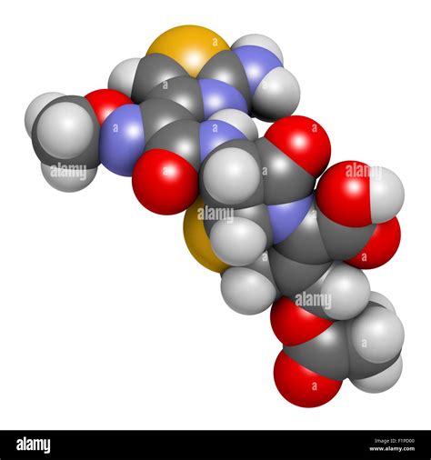Cefotaxime Antibiotic Drug Molecule Cephalosporin Third Generation Atoms Are Represented As