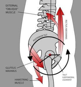 Improve Pelvic Rotation For Better Running Stride Physio Health