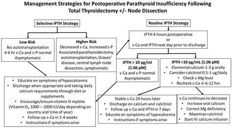 Etiology And Pathophysiology Of Hypoparathyroidism A Narrative Review Pmc