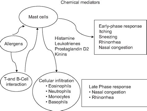 Allergic Rhinitis Karnataka Paediatric Journal