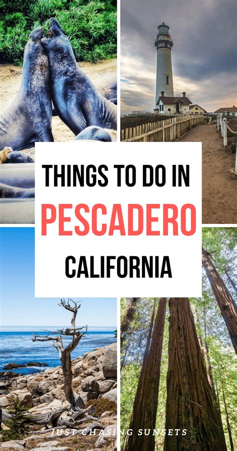 The Best Things To Do In Pescadero California Artofit
