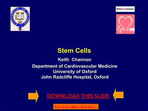 Stem Cells Biology Ppt Slides Ppt