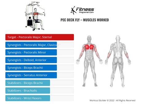 Pec Deck Fly Overview Muscles Worked And Benefits