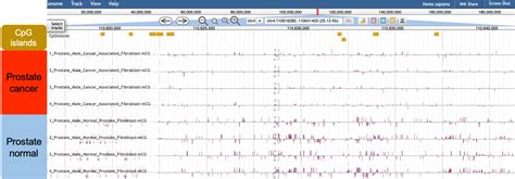 Allele Specific Dna Methylation Database