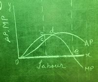 Economics Tutorials Relation Between TP MP And AP MP Curves