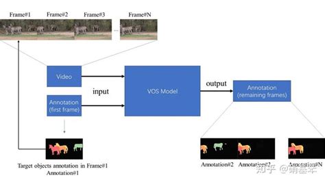 two shot video object segmentation 论文阅读 知乎
