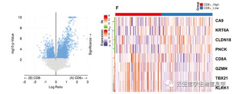 Cd8 T细胞和酸性微环境这个5分思路！一分钟教你生信分析如何助力课题设计！“三步”get免疫细胞 关键基因so Easy~ 知乎
