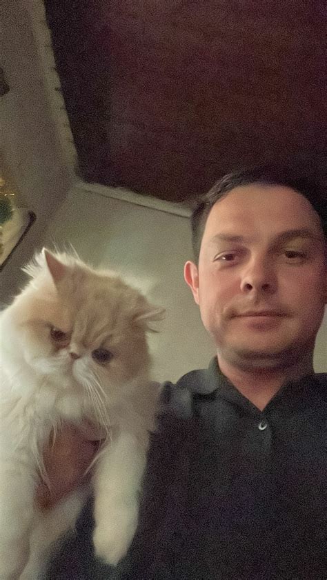 2 תושבי חולון חשודים כי פרצו לדירה וגנבו ממנה 2 גורי כלבים וחמישה חתולים פרסיים Be106 חדשות חולון