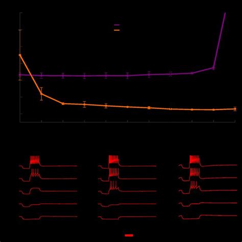 Modified Adaptive Exponential Integrate And Fire Model Parameter