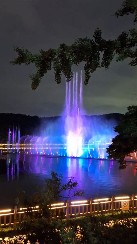 벙커는탈출이목표 골프 골프스윙 골프연습 골프레슨 골린이 골프스타그램 골프치는사람 스릭슨 젝시오 클리브랜드 운동하는사람 상급자골퍼 Golf