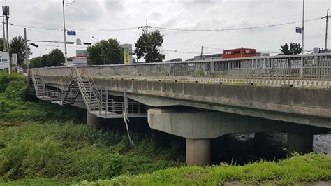 Seolmun Bridge Rc Slab Bridge Seolmun Bridge Rc Slab Bridge Download Scientific Diagram