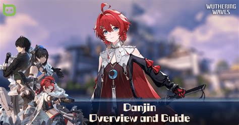 Danjin Best Builds And Guide Wuthering Waves Talk Android