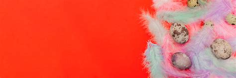 붉은 배경에 여러 가지 색깔의 깃털에 부활절 달걀 부활절 엽서 부활절에 축하 인쇄 텍스트를 삽입 하는 장소 파노라마 사진 0명에 대한 스톡 사진 및 기타 이미지 Istock