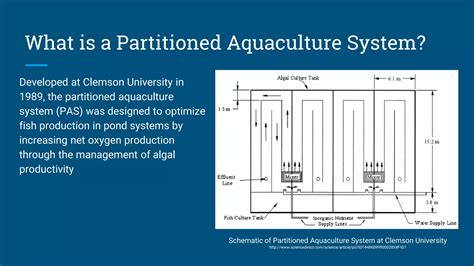 Design Of A Partitioned Aquaculture System Pptx
