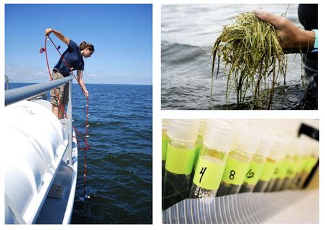 Enhancing The Chesapeake Bay Program Monitoring Networks A Report To The Principals Staff