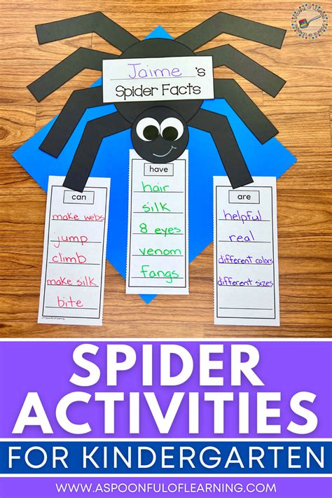 Spider Activities For Kindergarten Artofit