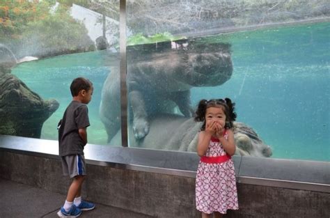 Speaking Of Hippo Humping Omega Watch Forums