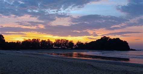 Naucrates Day 41 Of The First Nest Every Morning At 9 Am We Check
