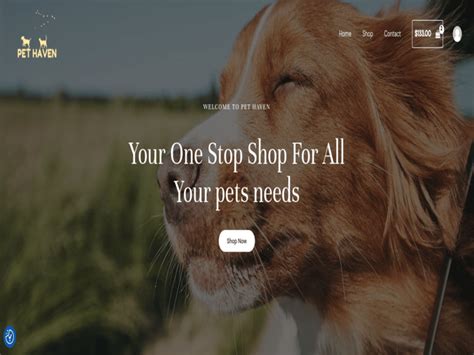 A Fully Functional Ecommerce Website Upwork