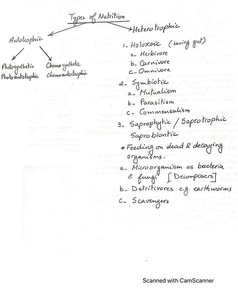 Solution Classification Notes Studypool