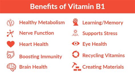 Vitamin B1 Benefits Deficiency And Foods Dr Daniel Functional Medicine