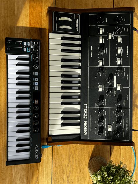 Moog Prodigy Sample Pack — Starsky Carr