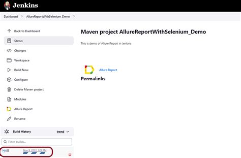 Allure Report Qa Automation Expert