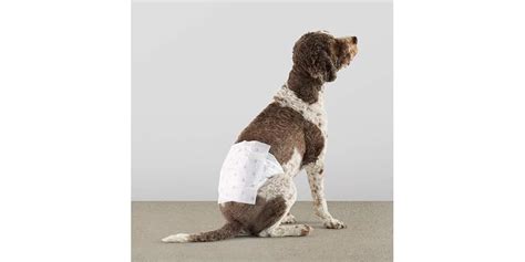 Amazon Basics Disposable Diapers Medium