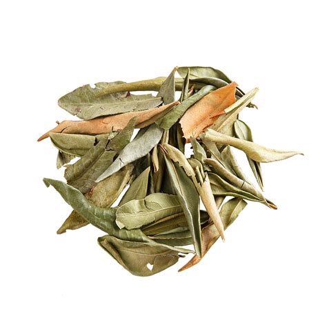 Smallflower Myrtle Leaf Whole Organic 2 Oz