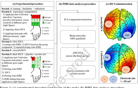 Figure 1 From Modulation Effects Of Repeated Transcranial Direct