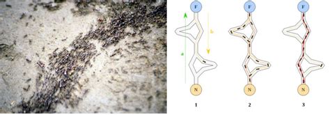 Evolutionary Feature Selection In Big Datasets Part 2