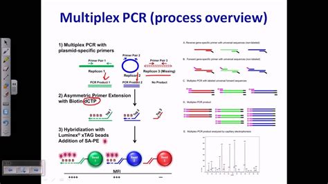 Multiplex Polymerase Chain Reaction