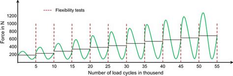 test procedure with flexibility tests and progression of the dynamic