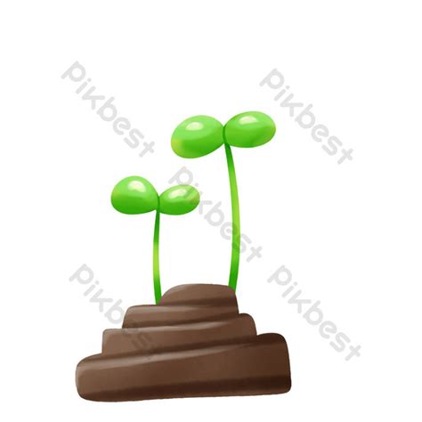 Seedling PNG Images PSD Free Download Pikbest