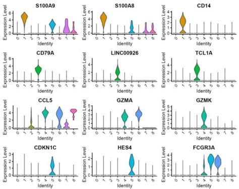 使用sbc Toolbox一键展示单细胞marker基因堆叠提琴图 上海生物芯片有限公司