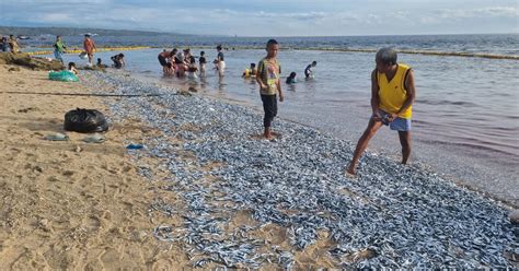 After Sardines Filled Sarangani Shores Earthquake Hits Two Days Later