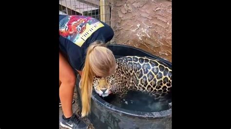 재규어 목욕 시키기 Youtube