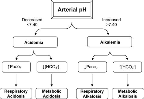 A Quick Reference On Respiratory Acidosis Veterinary Clinics Small Animal Practice A Quick Reference On Respiratory Acidosis Veterinary Clinics Small Animal Practice