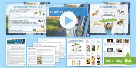 Aqa Inheritance Variation And Evolution Lesson 12 Selective Breeding