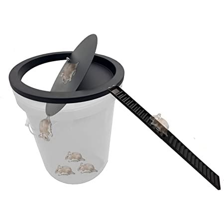 Amazon.com : Catchmaster Spiral Mouse Trap for 5 Gallon Bucket, Rat ...