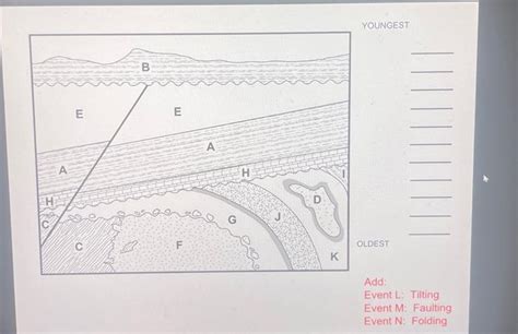 Solved Sedimentary Rocks Conglomerate Sandstone Mudrock